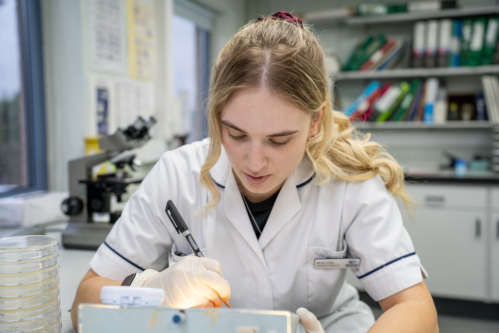 Wood Vets | Trusted Care in Gloucester