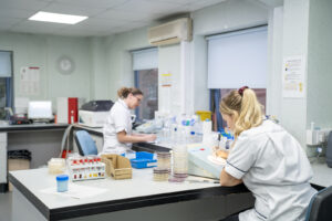 About Us | Wood Vets