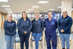 About Us | Wood Vets