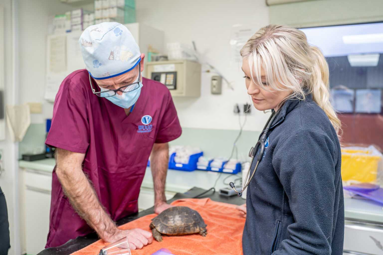 Wood Vets | Trusted Care in Gloucester