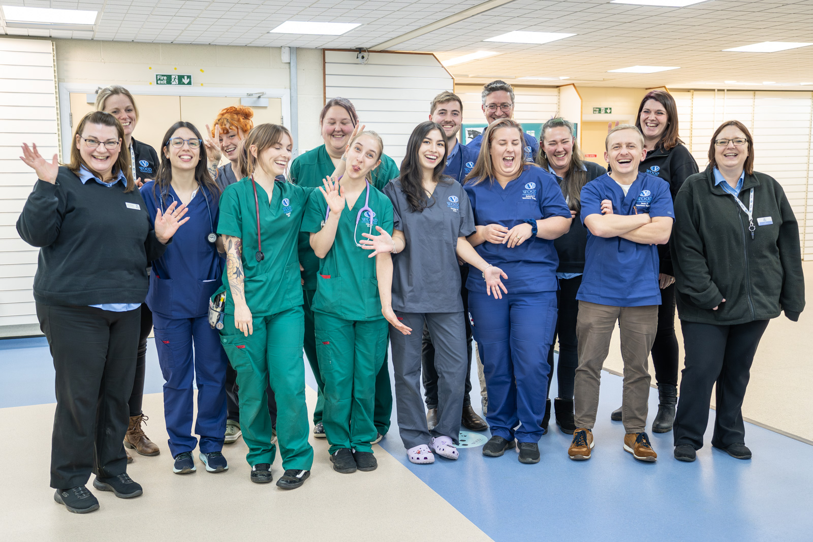 About Us | Wood Vets